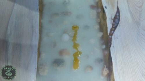 How to Make a Seashell Resin Table